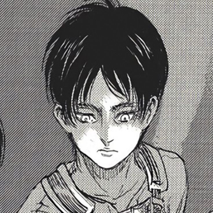 Matching AoT - pfps, icons, banners, wallpapers [300+ Pictures] – PFP ...